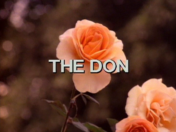 The Don: Part 2 | Matlock Wiki | Fandom