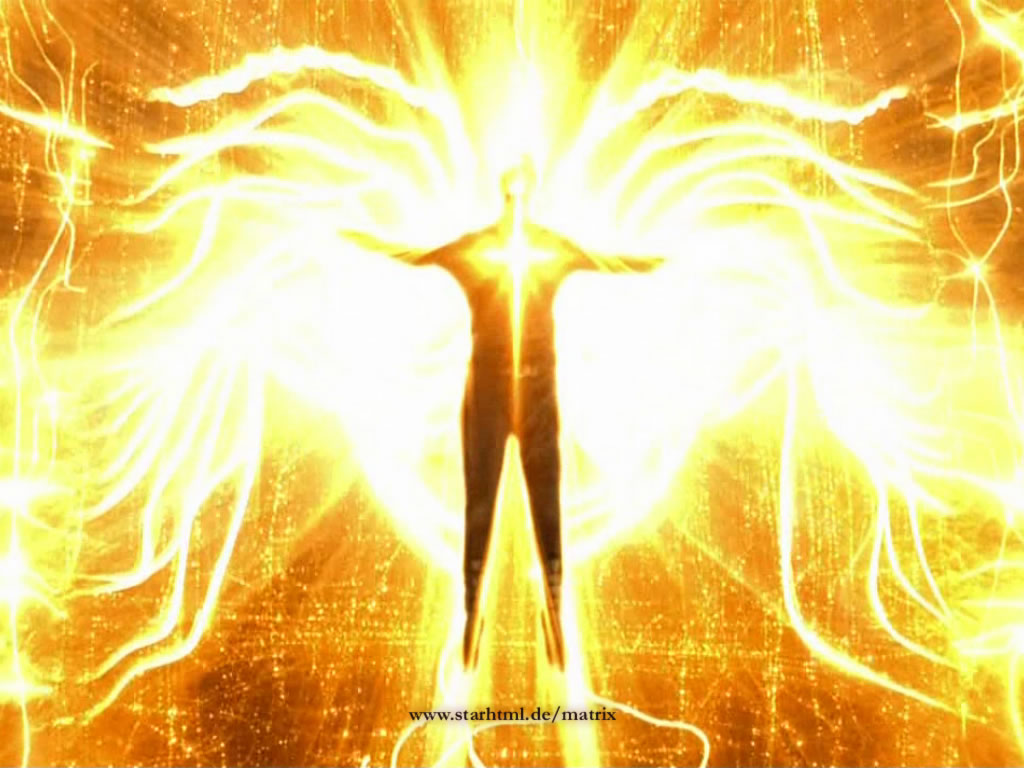 Image Neos Sacrifice Matrix Wiki Fandom Powered By Wikia