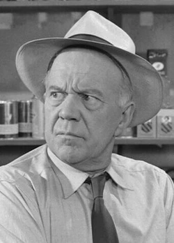 Willis Bouchey | Mayberry Wiki | Fandom