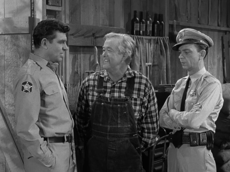 Aunt Bee's Invisible Beau | Mayberry Wiki | Fandom