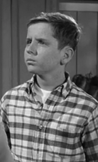 Howie Pruitt | Mayberry Wiki | Fandom