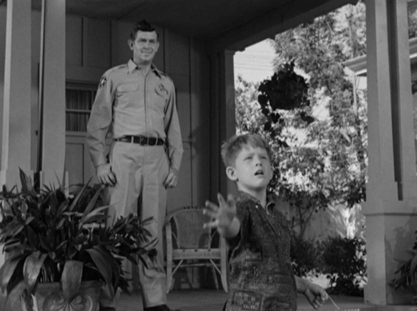 Opie the Birdman | Mayberry Wiki | FANDOM powered by Wikia