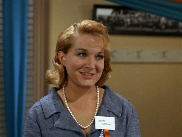 The Return of Barney Fife | Mayberry Wiki | Fandom