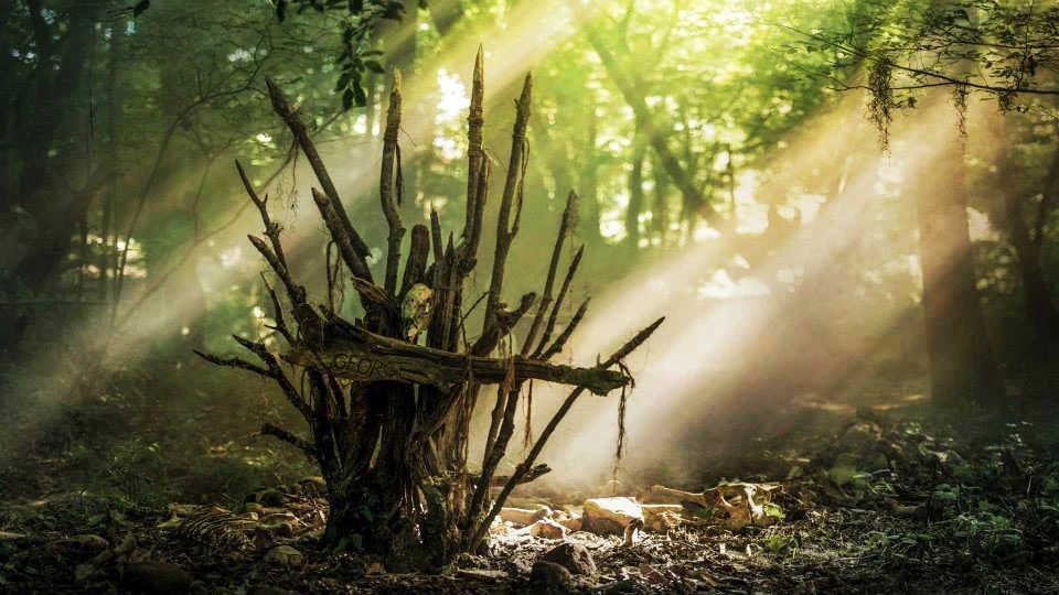 George | Wiki Maze Runner | FANDOM powered by Wikia