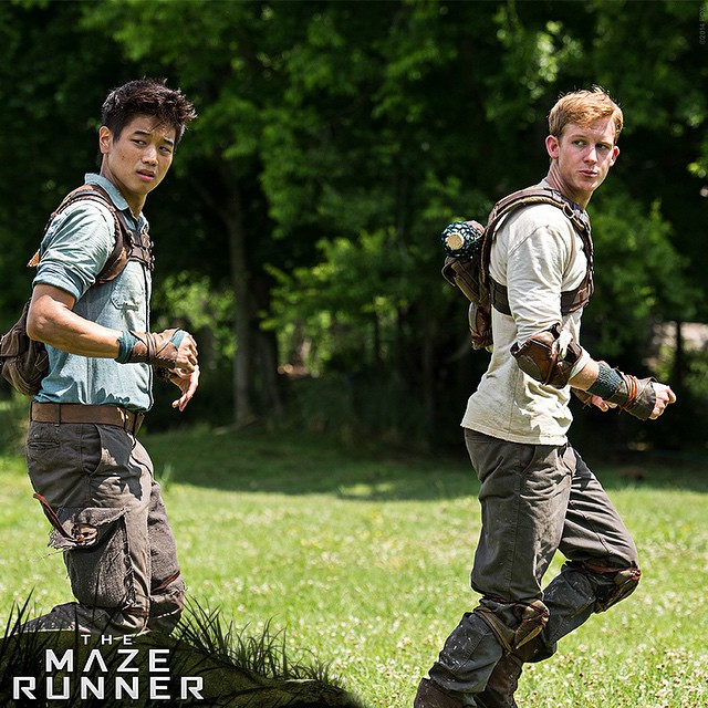 Runner | The Maze Runner Wiki | Fandom Runner | The Maze Runner Wiki | Fandom