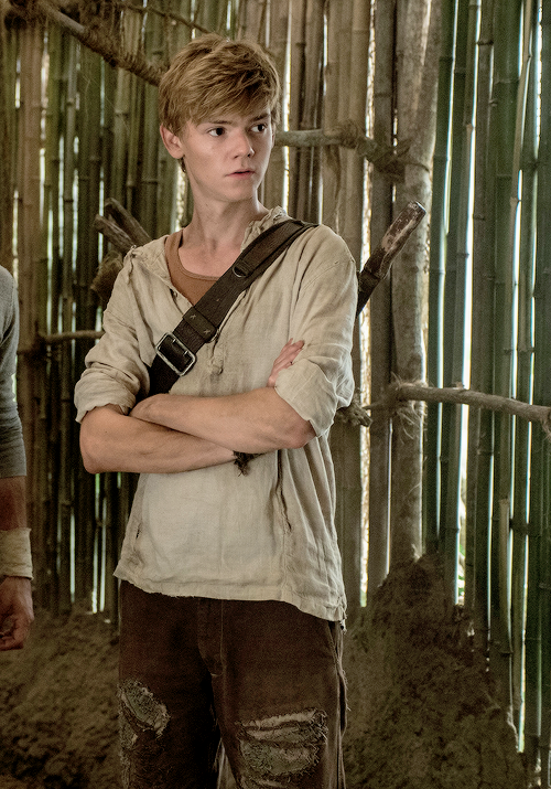 Image - Newt TMR.png | The Maze Runner Wiki | FANDOM powered by Wikia