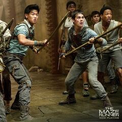 Gladers | The Maze Runner Wiki | FANDOM powered by Wikia