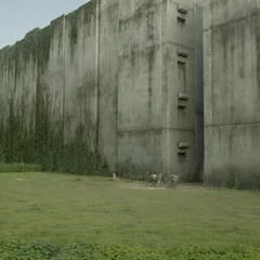 The Glade | The Maze Runner Wiki | FANDOM powered by Wikia