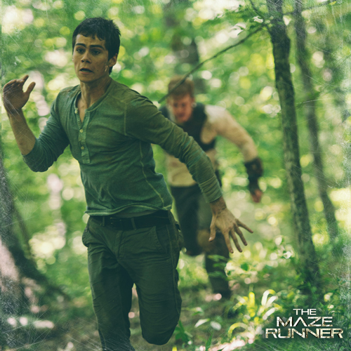 Изображение Mazerunner Thomas Running Бегущий в лабиринте вики Fandom Powered By Wikia