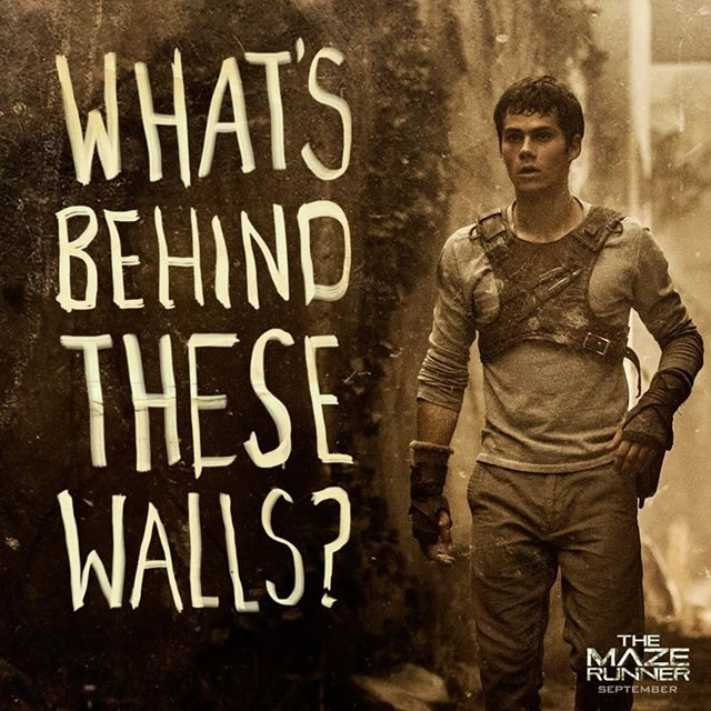 Imagen - MAZERUNNER.jpg | Wiki Maze Runner | FANDOM powered by Wikia