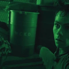 Thomas | The Maze Runner Wiki | FANDOM powered by Wikia