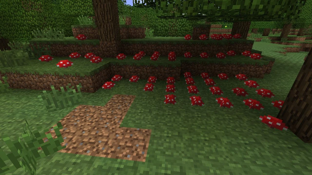 Creation Field Of Mushrooms Minecraft Creations Wiki Fandom Powered By Wikia