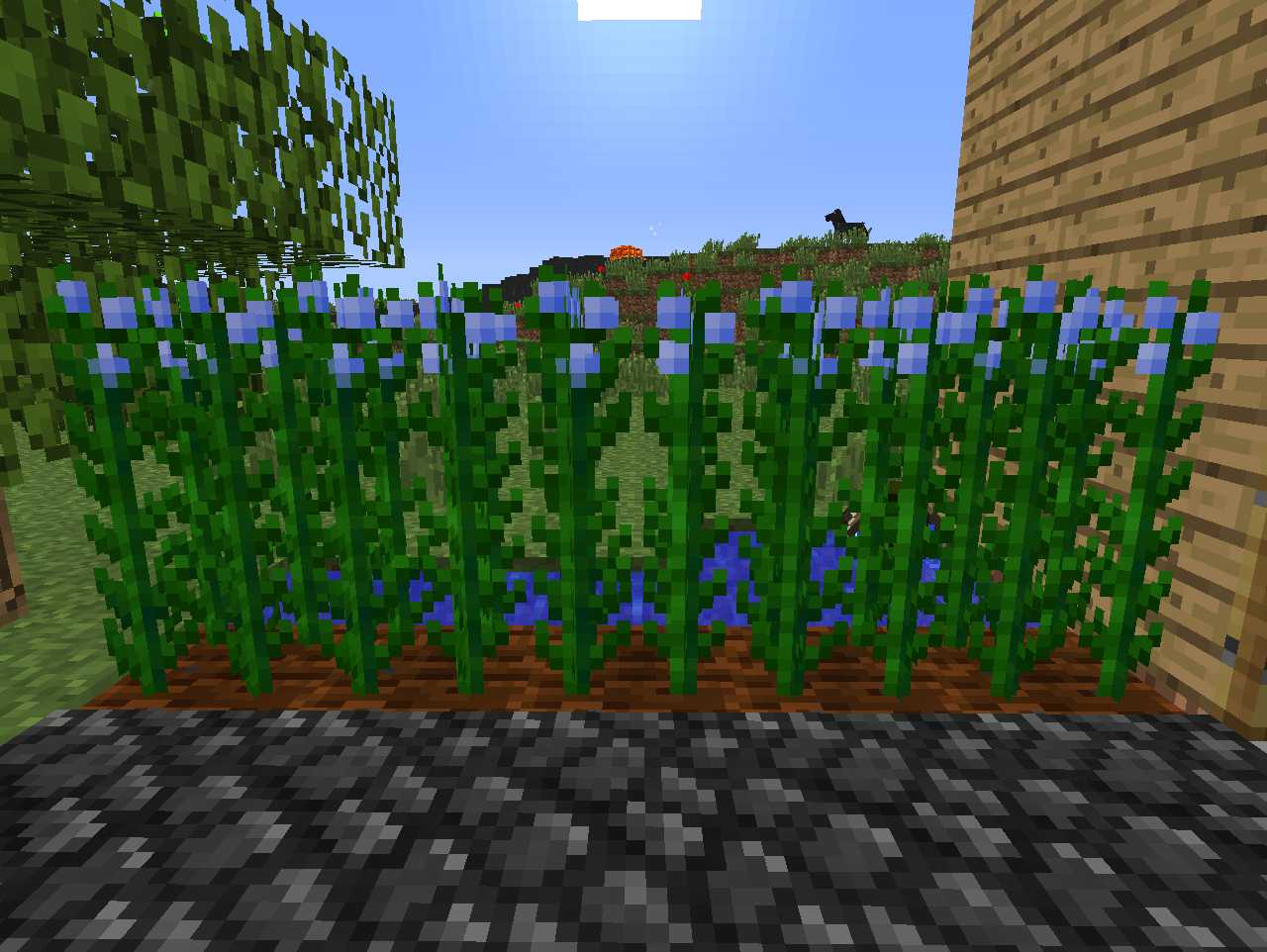 Flax Seeds | Minecraft Technic Pack Wiki | Fandom