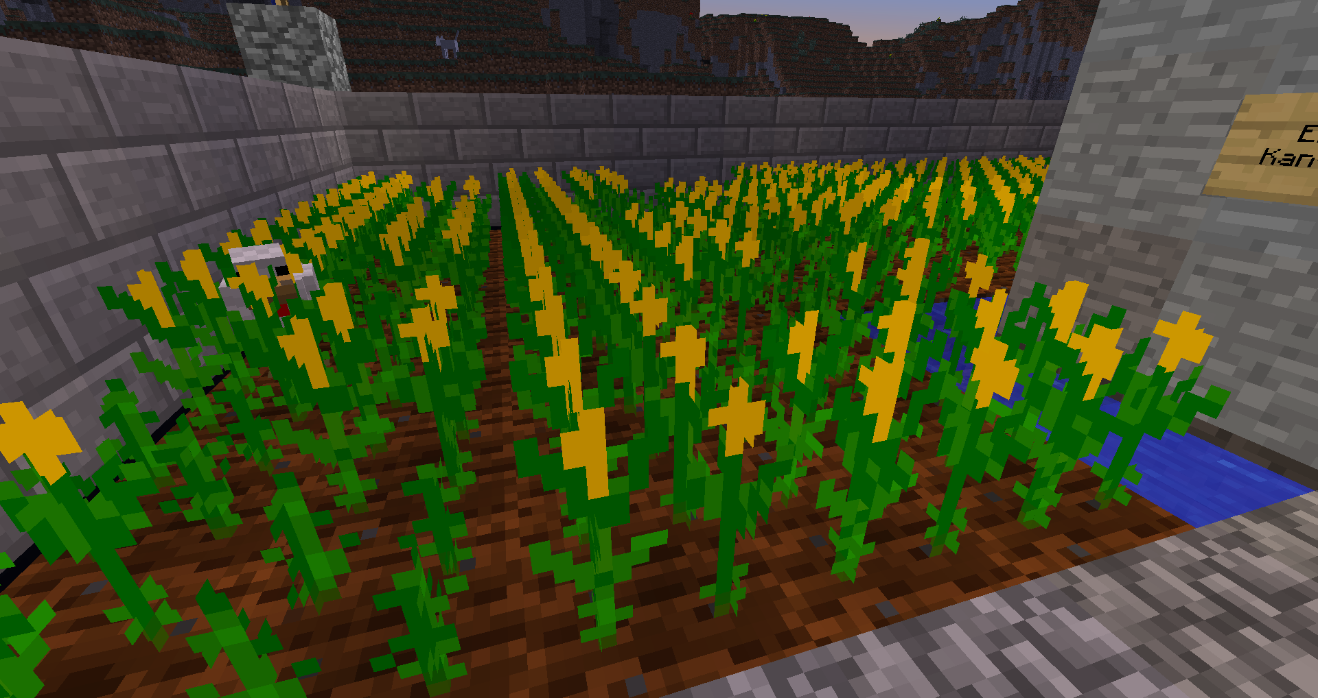 Maize | Minecraft Technic Pack Wiki | FANDOM powered by Wikia Maize | Minecraft Technic Pack Wiki | FANDOM powered by Wikia