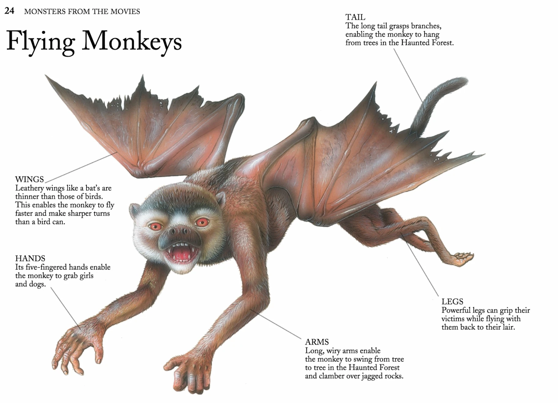 Flying Monkey | Monster Wiki | Fandom