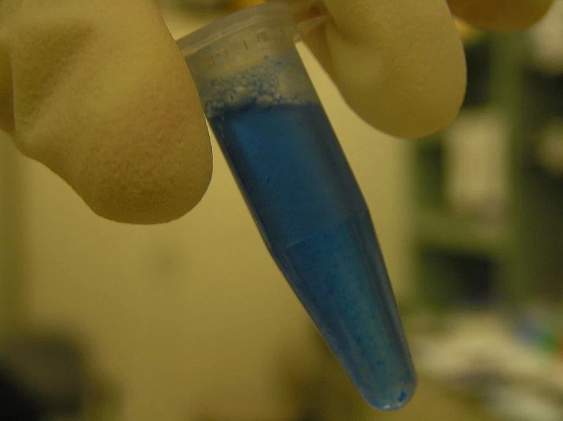 Azul de Coomassie | Medicina Wiki | FANDOM powered by Wikia