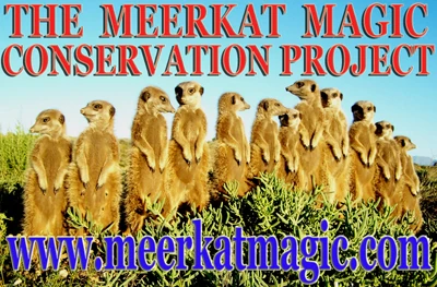 Meerkat Magic Project | Meerkats Wiki | Fandom