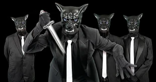 The Residents | Meet The Residents Wiki | Fandom