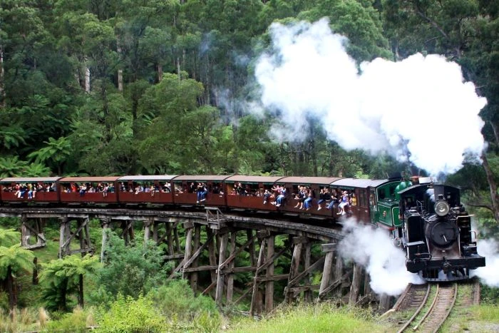 Puffing Billy Railway | Melbourne Wiki | Fandom