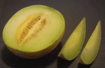 Lemondrop Melon | Melons Wiki | Fandom