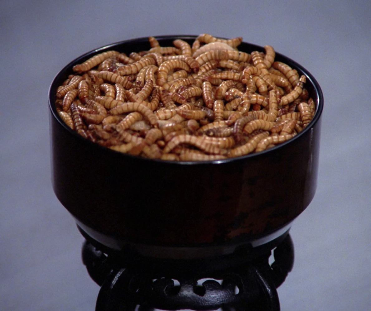 Tube grub | Memory Alpha | Fandom