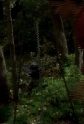 Insect trap | Memory Alpha | FANDOM powered by Wikia