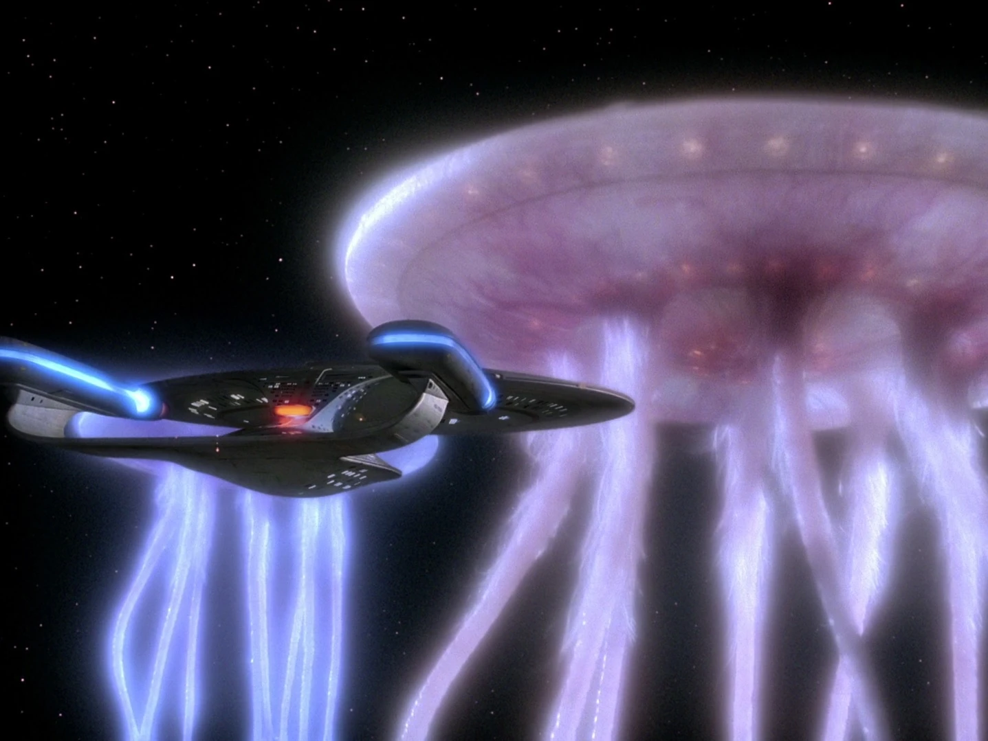 ~/Spezies/TNG/1x02/1 | Memory Alpha, das Star-Trek-Wiki | Fandom