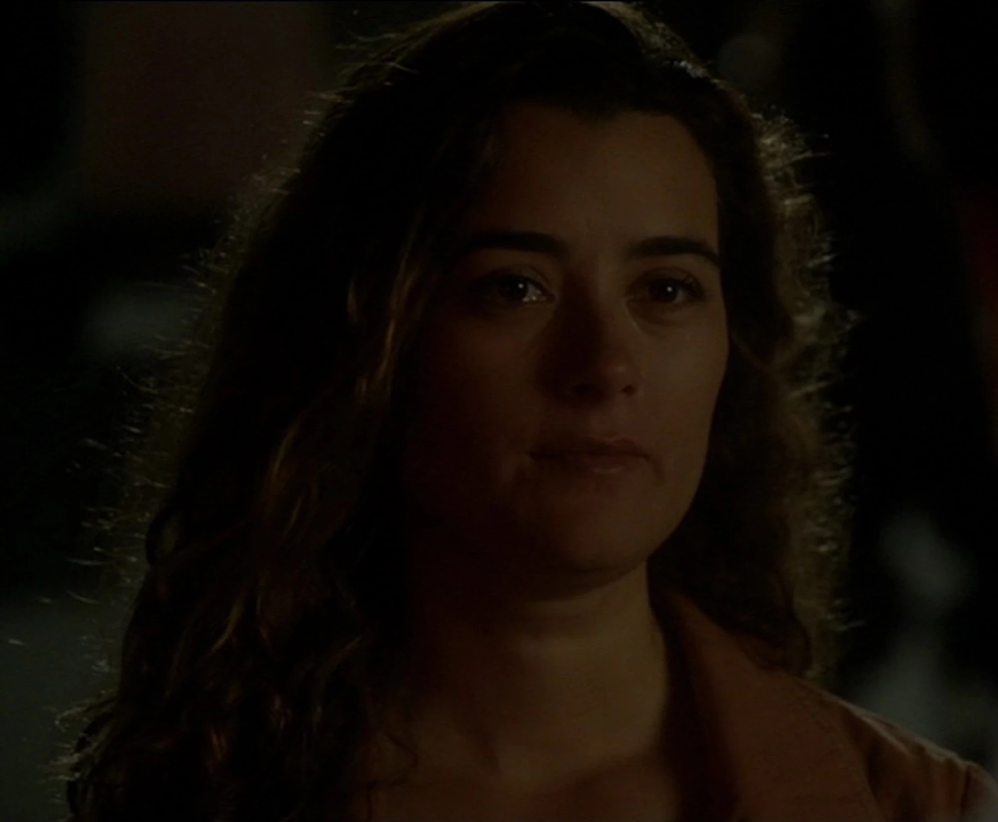 Ziva David | Memory Delta Wiki | Fandom