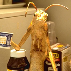 Image - Geeble.jpg | Men in Black Wiki | FANDOM powered by Wikia