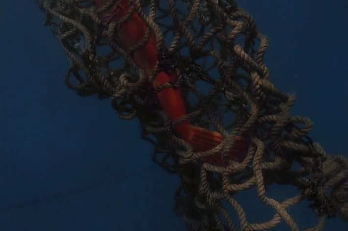 Image - Marina From Power Rangers 22.png | Mermaid Wiki | FANDOM ...