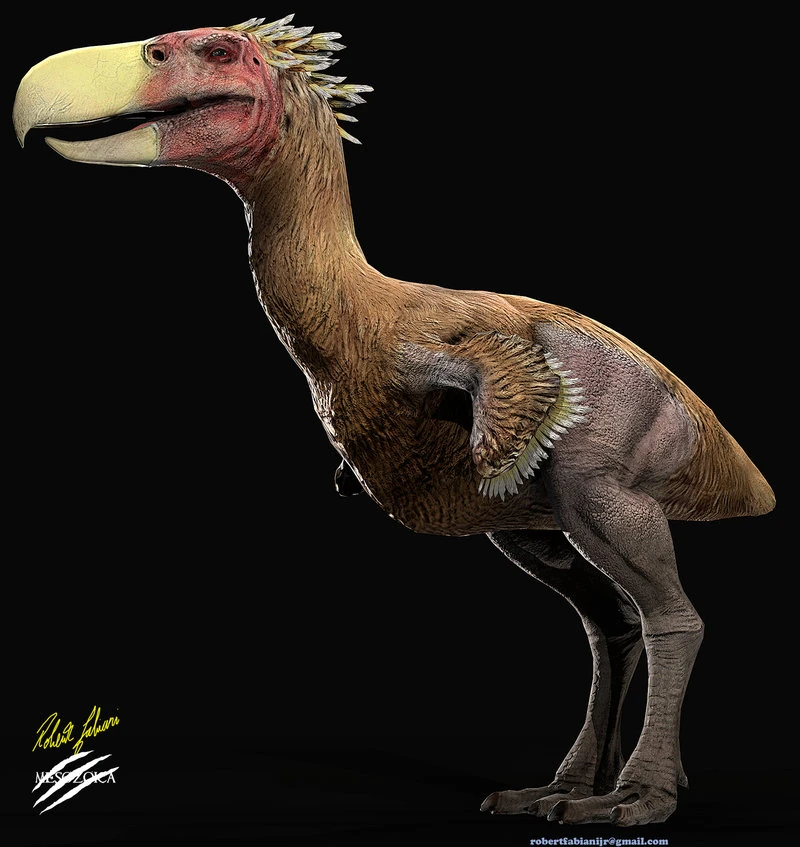 Kelenken | Mesozoica game Wikia | FANDOM powered by Wikia