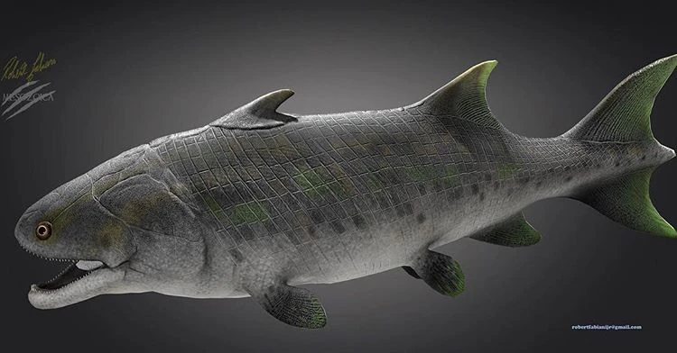 Guiyu Oneiros | Mesozoica game Wikia | FANDOM powered by Wikia