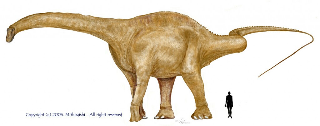 Diplodocus Mesozoic Era Wiki Fandom Powered By Wikia