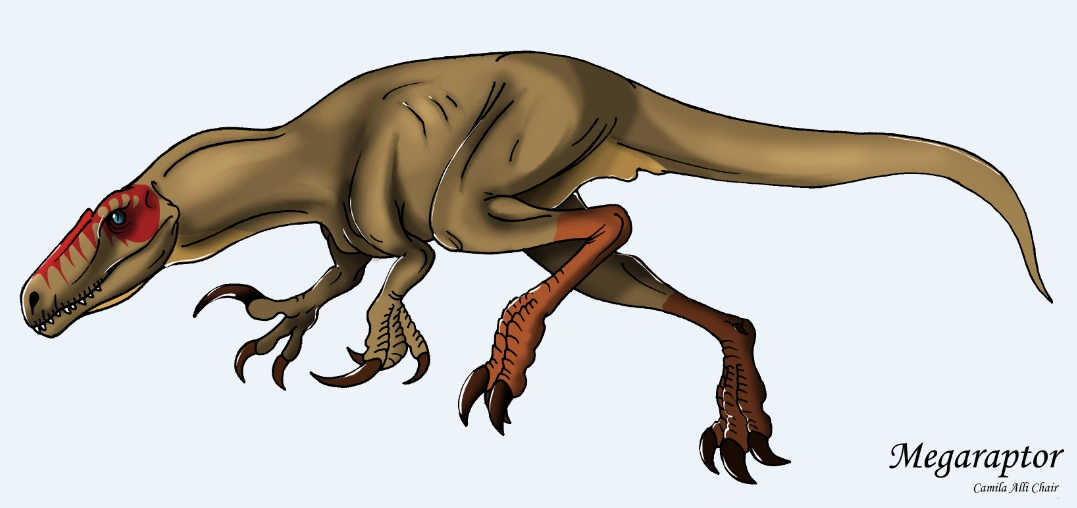 Megaraptor | Mesozoic Era Wiki | FANDOM powered by Wikia