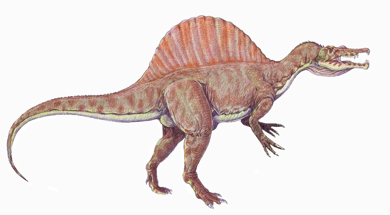 Spinosaurus | Wiki Mesozoico | FANDOM powered by Wikia