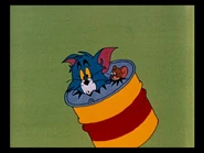 Calypso Cat | MGM Cartoons Wiki | Fandom