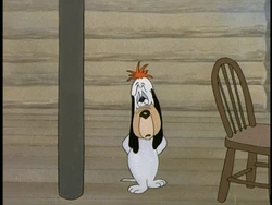 Droopy (Character) | MGM Cartoons Wiki | Fandom