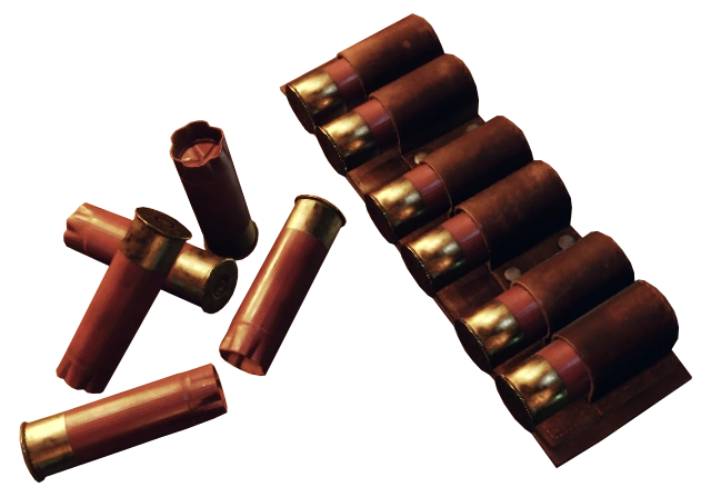 12x70 Buckshot | Metro Wiki | Fandom