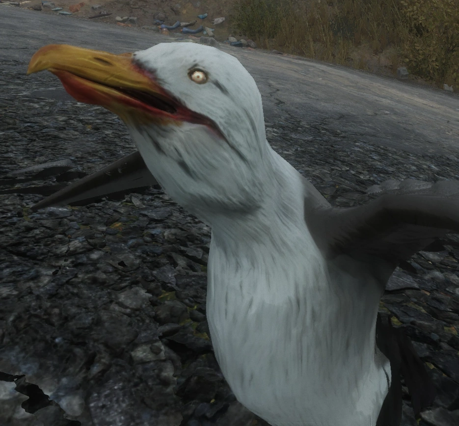 Seagull | Metro Wiki | Fandom