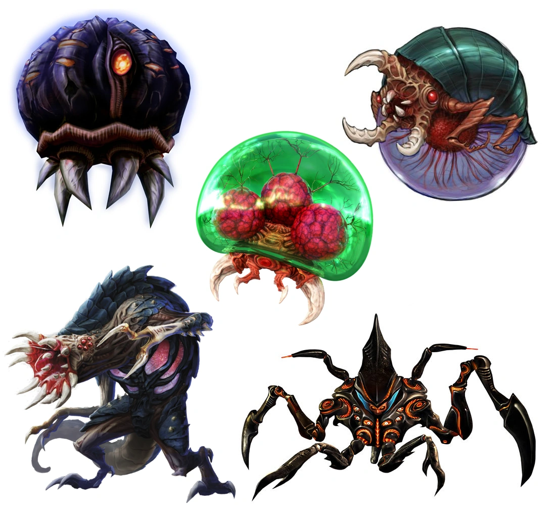 Metroid (Species) | Wikitroid | FANDOM powered by Wikia