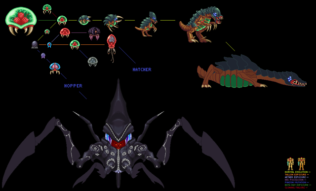 Image - Metroid Evolution Chart.png | Wikitroid | FANDOM powered by Wikia