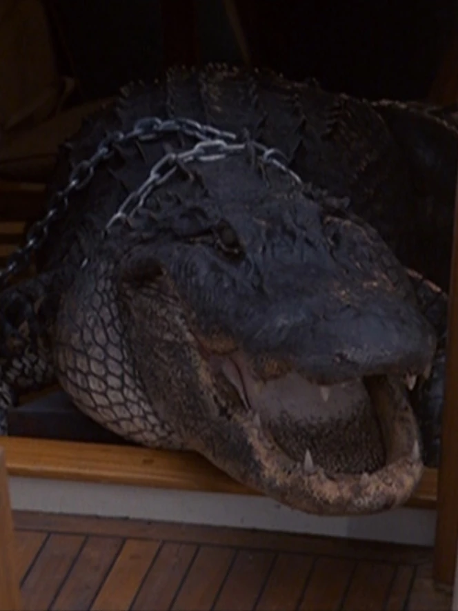 Elvis | Miami Vice Wiki | FANDOM powered by Wikia