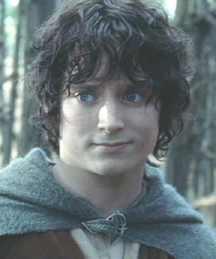 Image - Frodo two towers.png | Middle Earth Film Saga Wikia | FANDOM ...