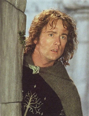 Pippin Took | The Hobbit LOTR Wiki | Fandom