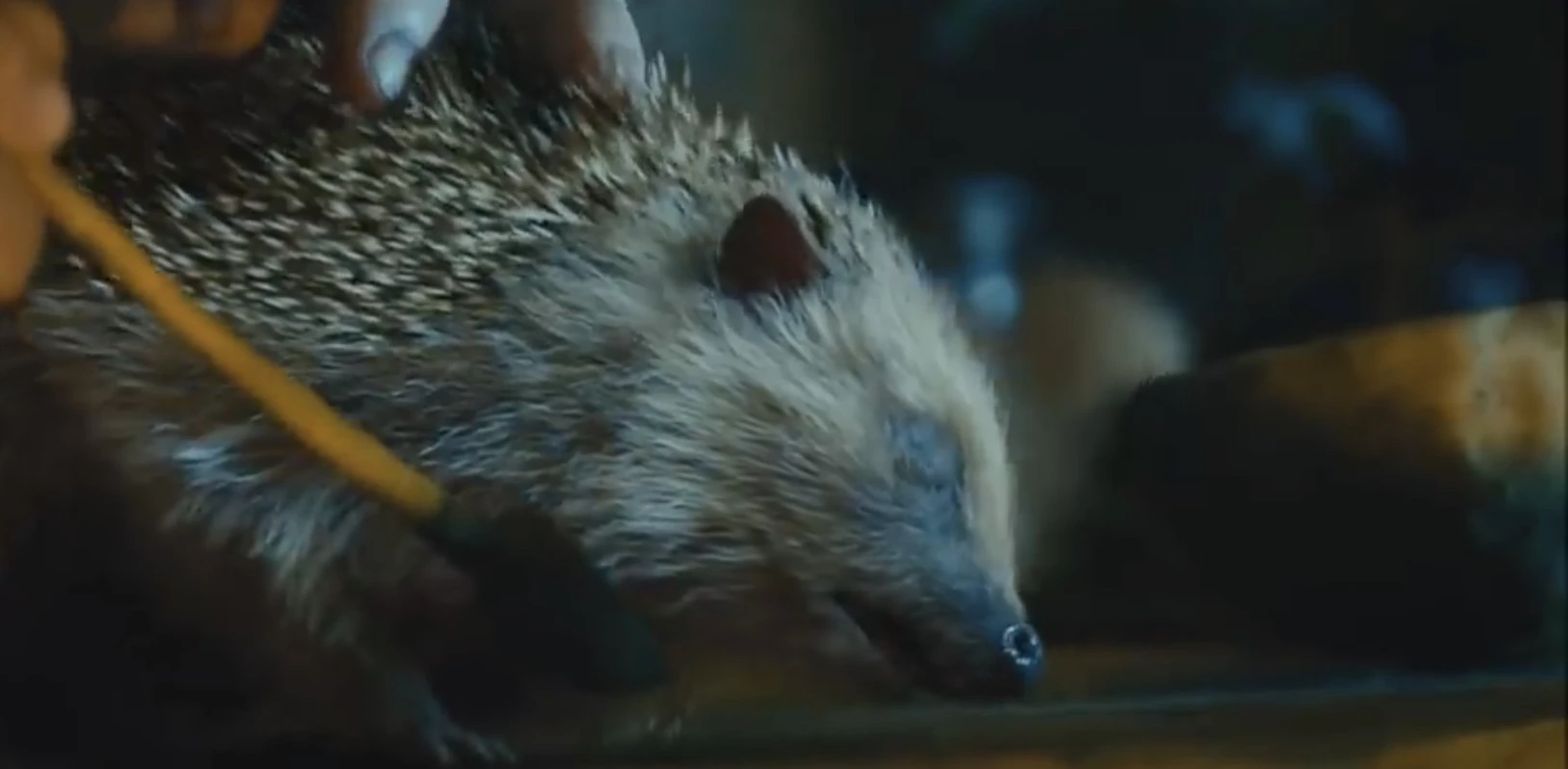 Sebastian | The Hobbit LOTR Wiki | Fandom