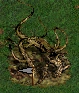 List of adventure map structures in Heroes III | Might and Magic Wiki ...