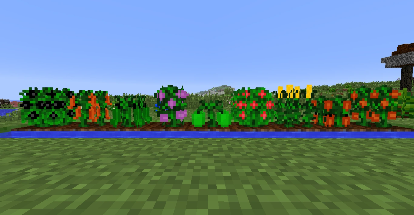 Crop Seeds | Minecraft Big Dig Pack Wiki | Fandom