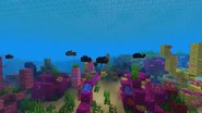Warm Ocean | Minecraft Biomes Wiki | FANDOM powered by Wikia