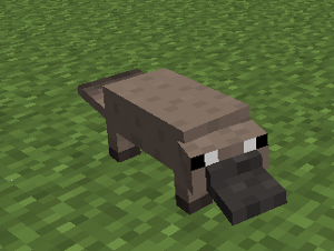 Platypus (Endangered Mobs) | Minecraft Modverse Wikia | Fandom