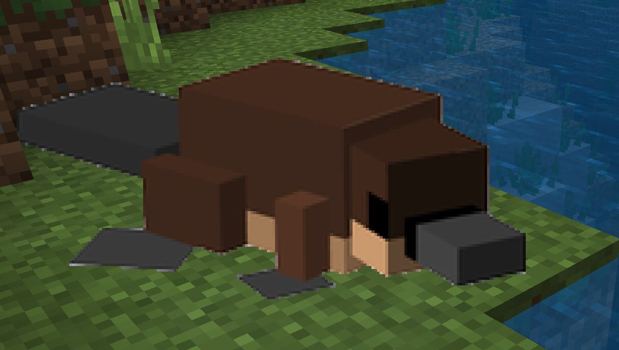 Platypus | Minecraft Ultimate Wiki | Fandom